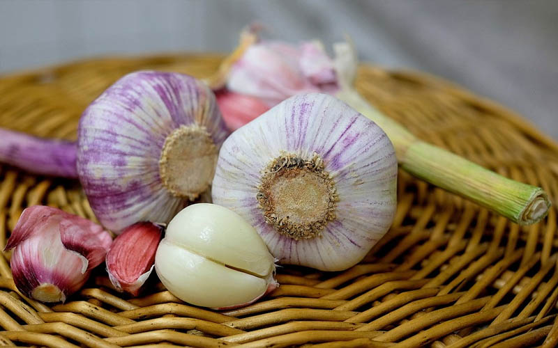Should You Start Your Day with Garlic Water – Perfectway.me